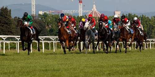 Ippica: all’ippodromo dell’Arcoveggio di Bologna vince Sing Hallelujah ...