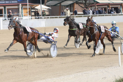 All’Ippodromo SNAI La Maura, Victor Ferm detta legge – AGIMEG All’Ippodromo SNAI La Maura, Victor Ferm detta legge – AGIMEG